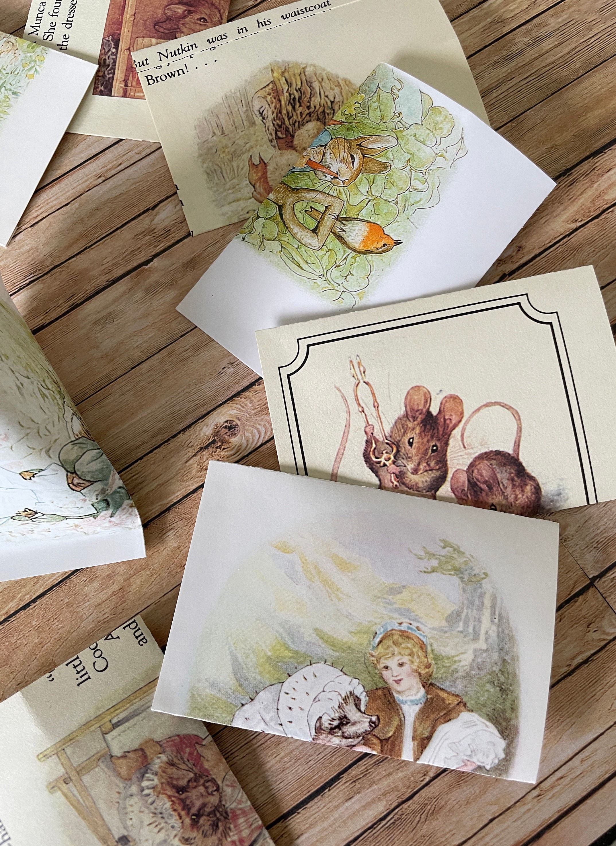 Storybook Peter Rabbit & Friends Party Favor Boxes | Set of 12 | Baby ...