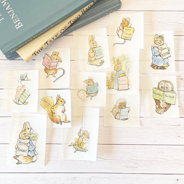 Beatrix Potter Baby Shower - Etsy