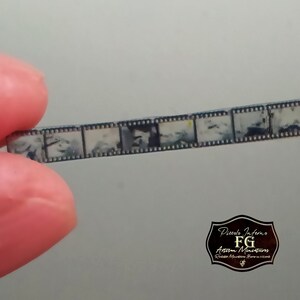 X Files, Autopsy of the Alien, Horror Dolls House 12th Scale - Etsy