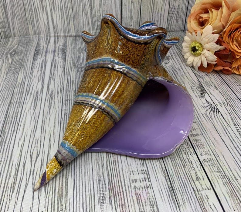 Sumo Glass Art Conch Shell by Artist Marty Hook and Janet Sweeney From ...