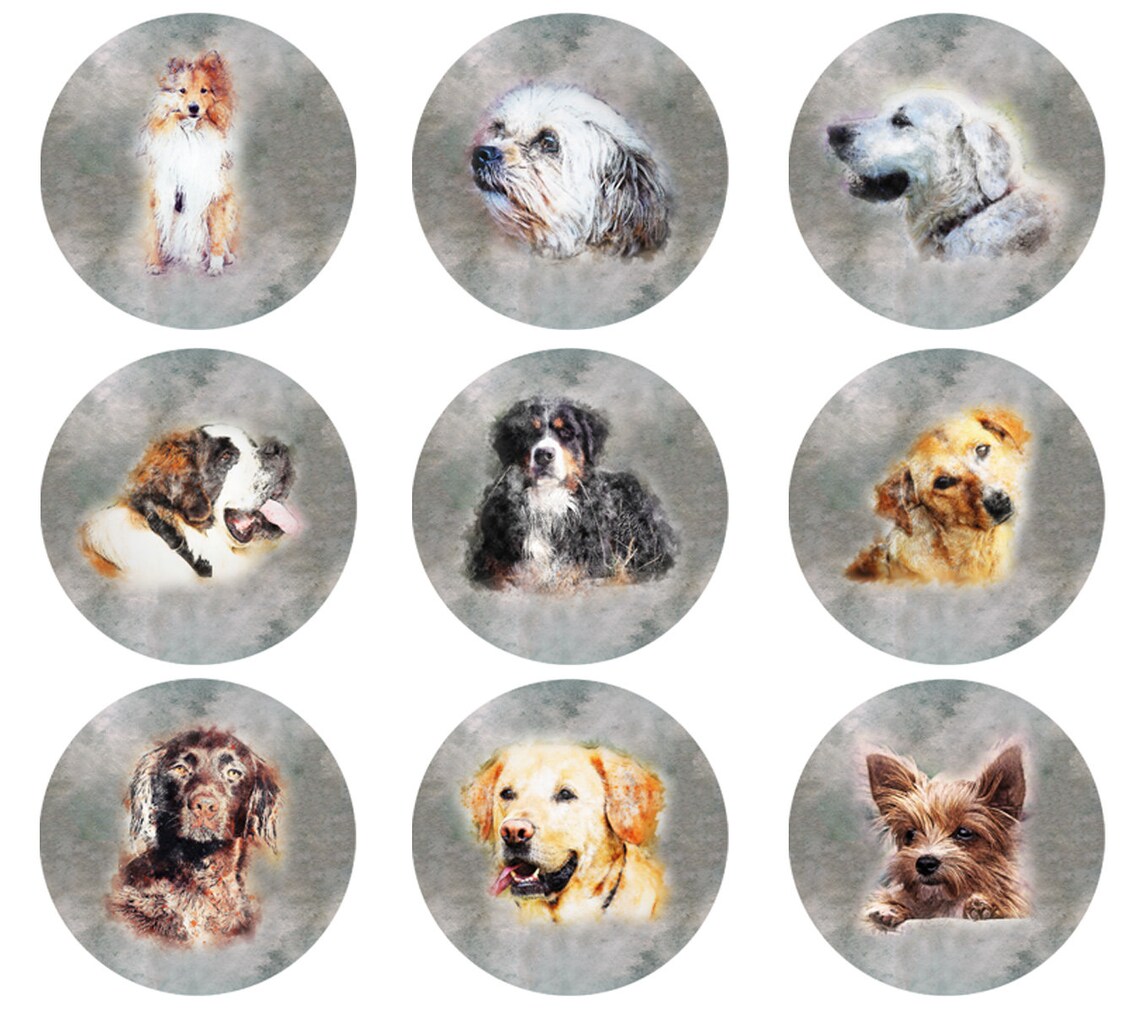 Round Dog Coasters Sublimation Designs 28 Different Dogs PNG - Etsy