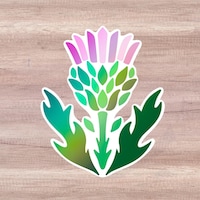Scottish Thistle - Etsy