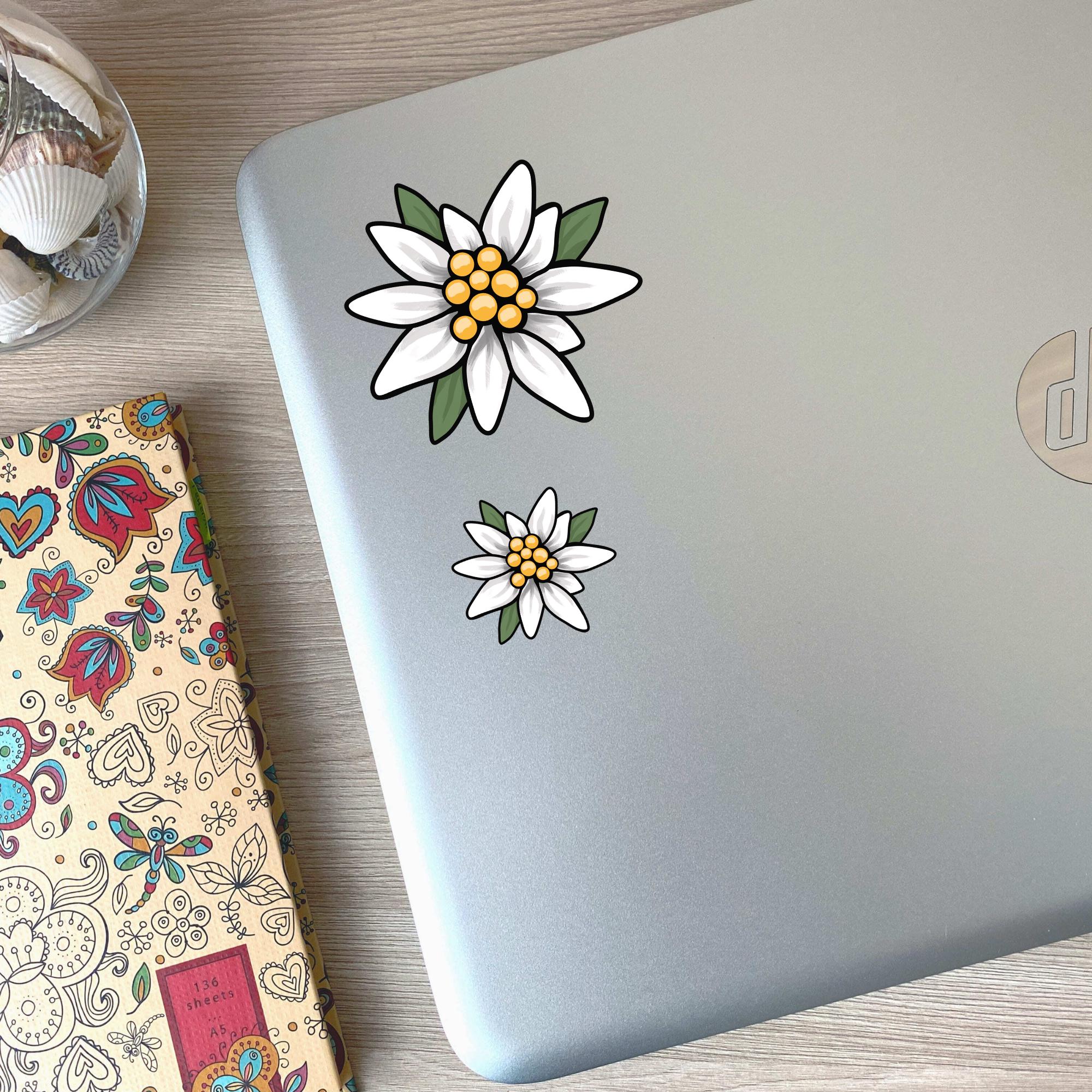 Edelweiss Vinyl Sticker, Botanical Sticker, Floral Sticker, Laptop ...