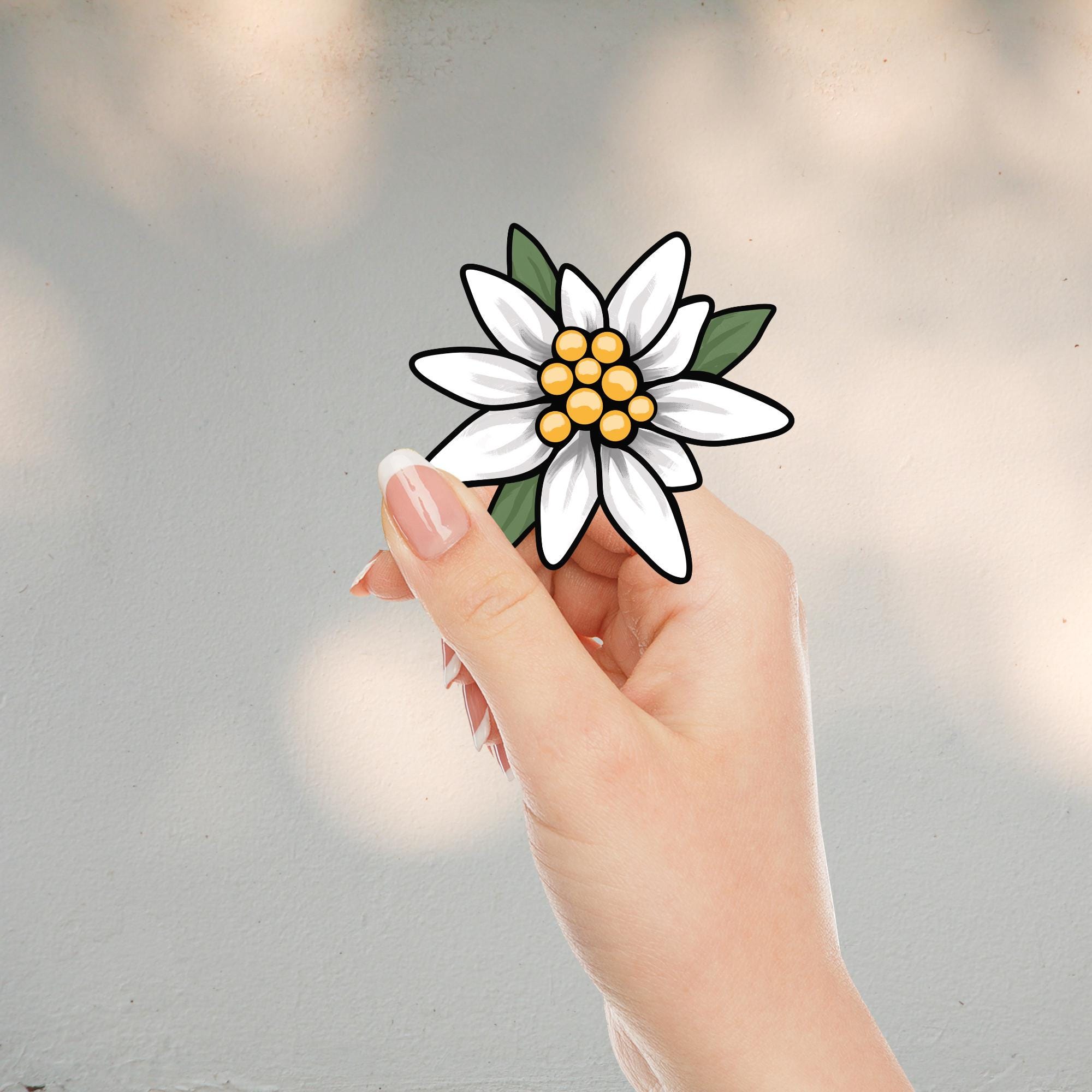 Edelweiss Vinyl Sticker, Botanical Sticker, Floral Sticker, Laptop ...
