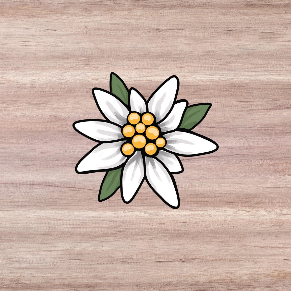 Edelweiss Vinyl Sticker, Botanical Sticker, Floral Sticker, Laptop ...