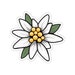 Edelweiss Vinyl Sticker, Botanical Sticker, Floral Sticker, Laptop ...