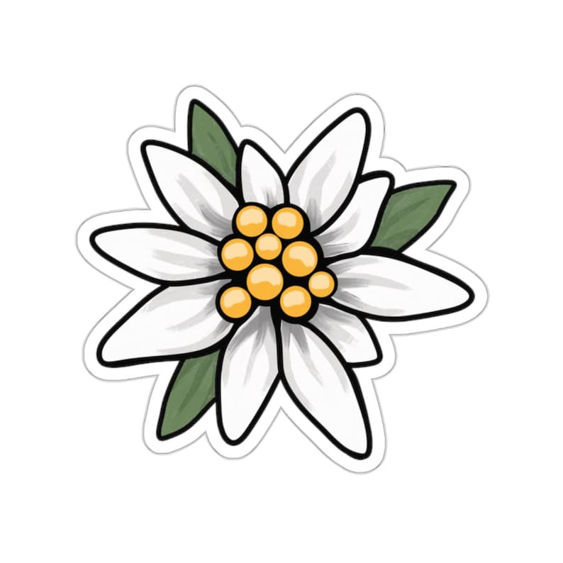 Edelweiss Vinyl Sticker, Botanical Sticker, Floral Sticker, Laptop ...