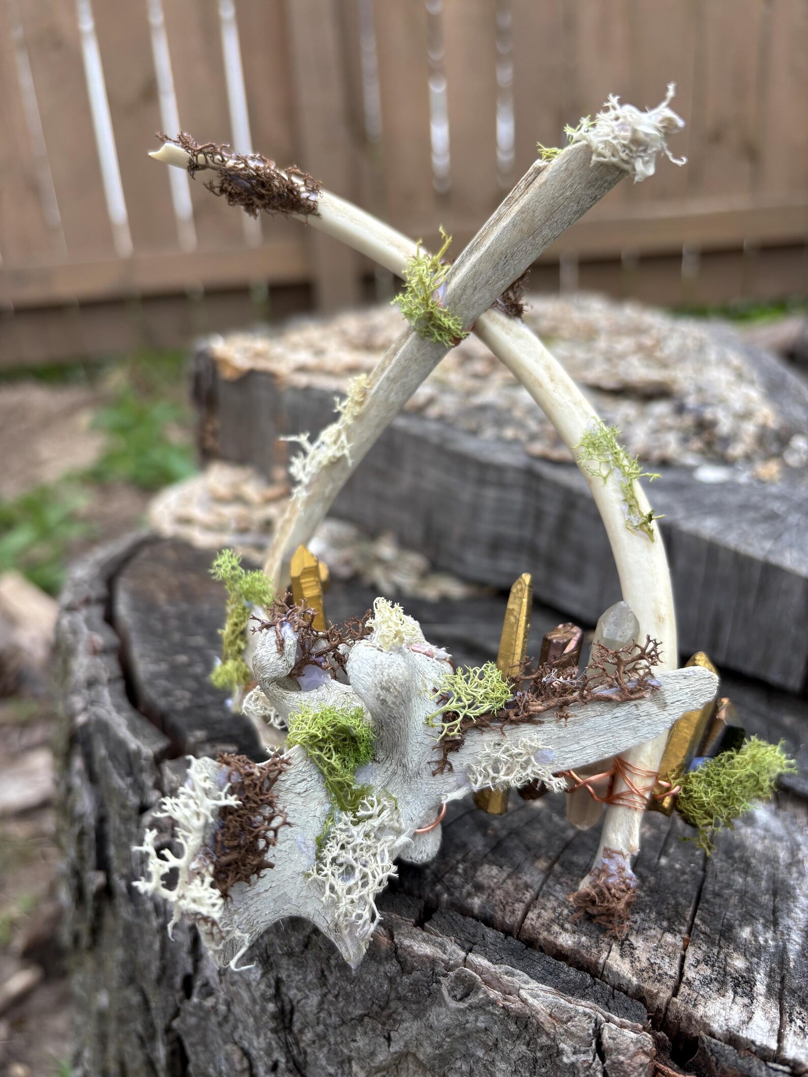 Crystal & Bone Crown - Crystal Crown - Etsy