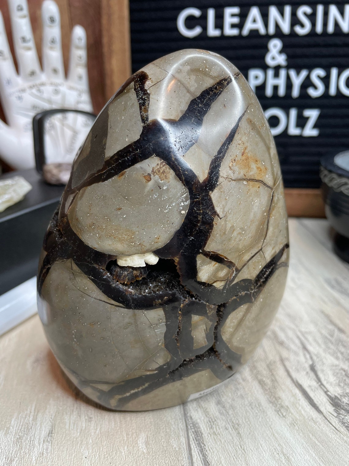 Septarian Freeform Septarian Calcite Freeform - Etsy