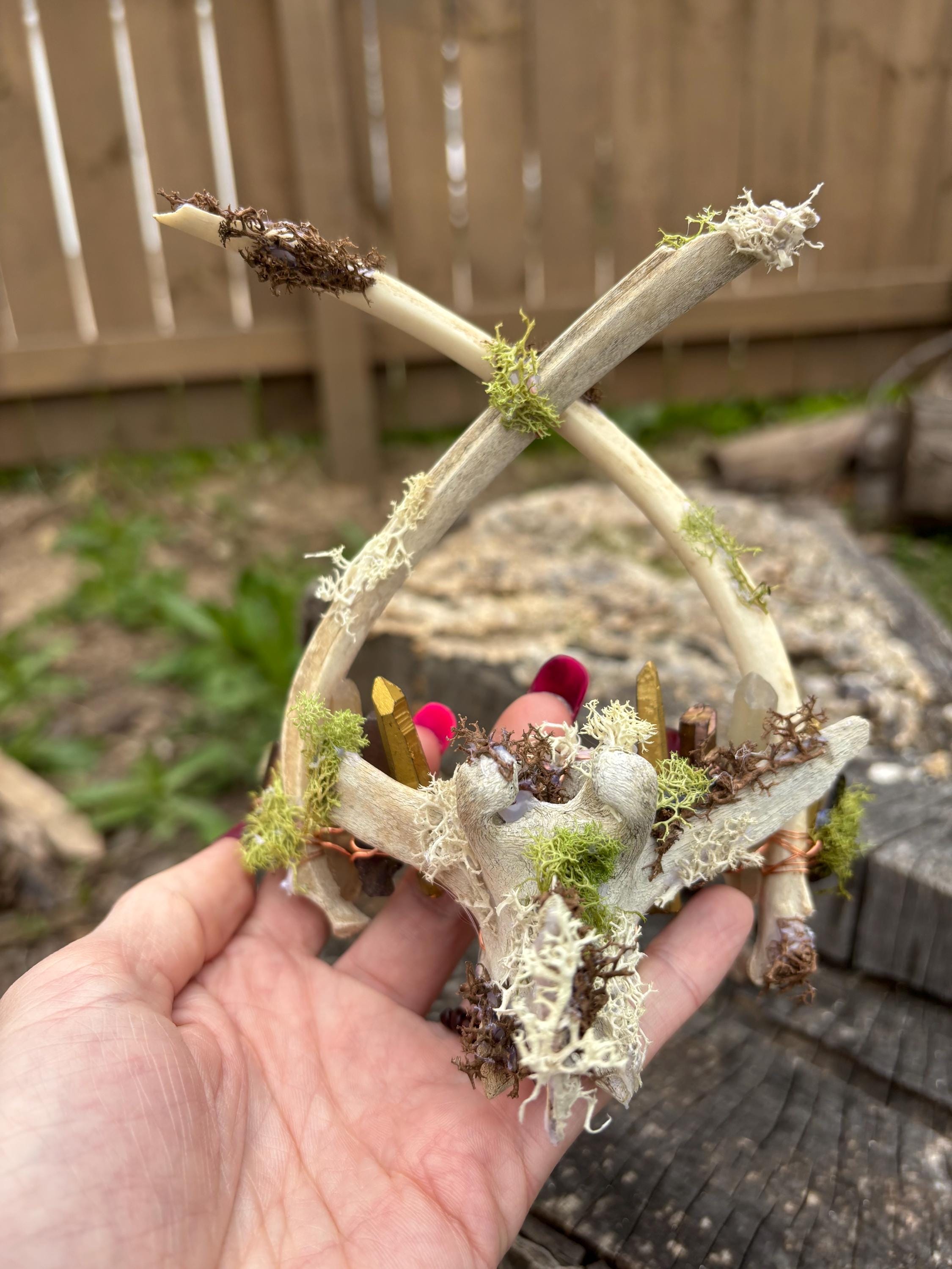 Crystal & Bone Crown - Crystal Crown - Etsy