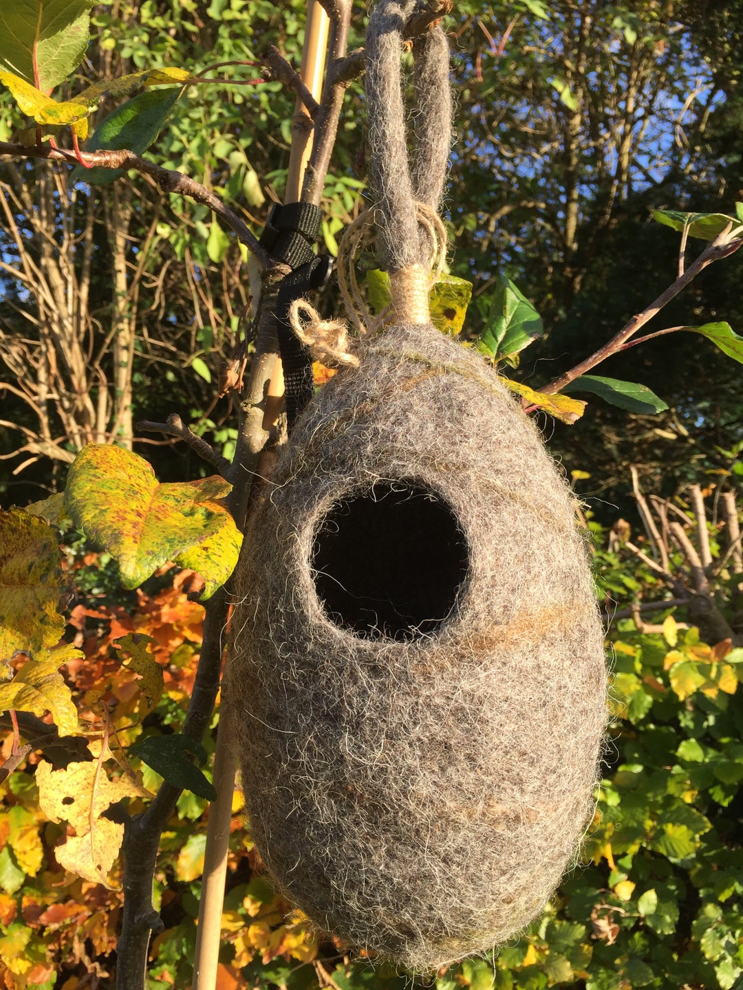 Felted Eco Bird Pod - Etsy