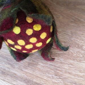 Felted Pods - Etsy