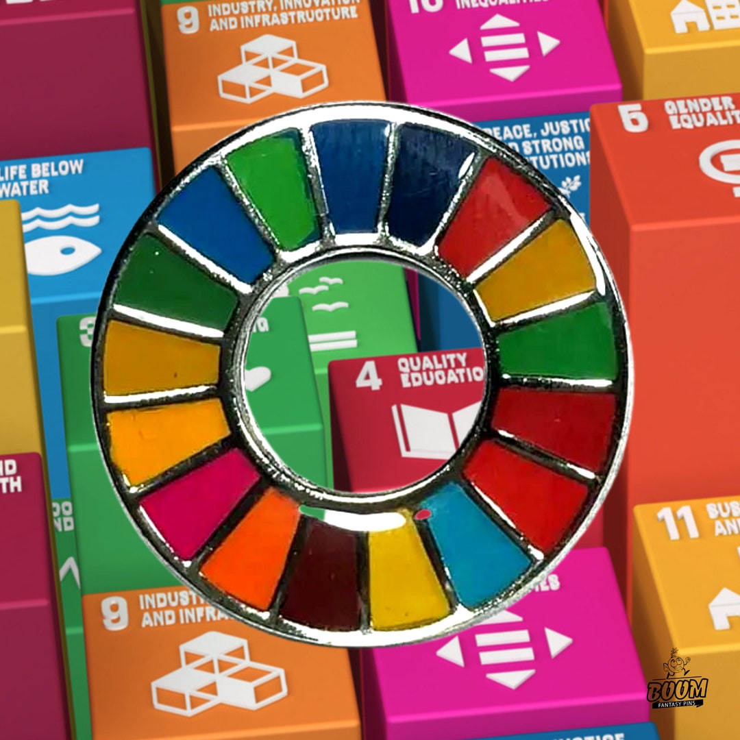 ODS Desarrollo Sostenible Pin Enamel Pin ODS Enamel Pin ODS Pin - Etsy
