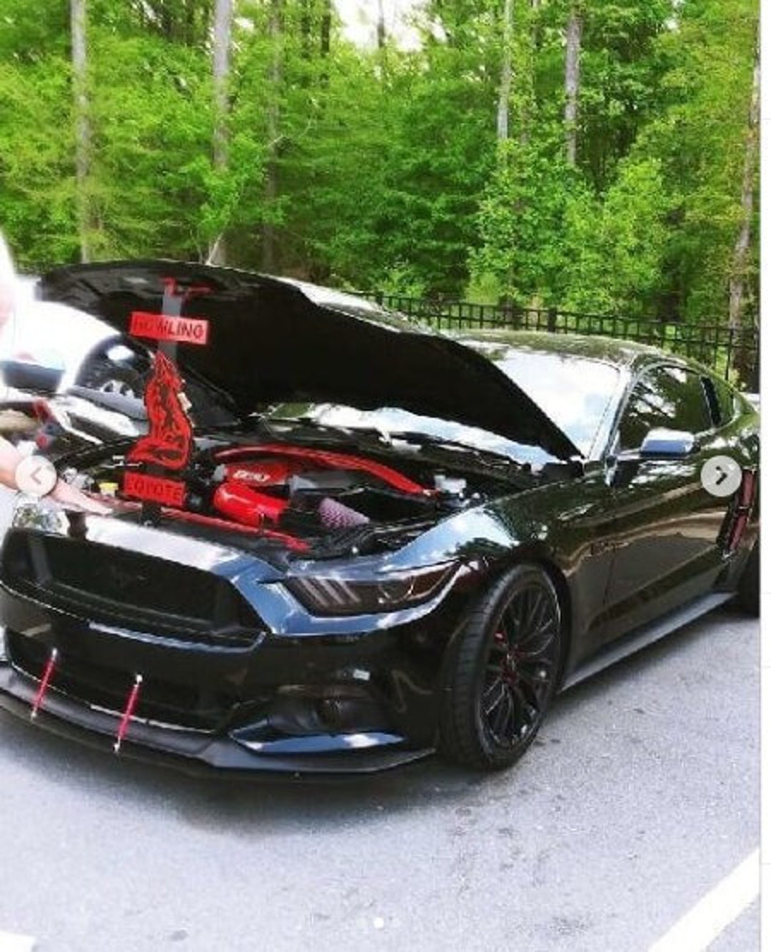 24 Coyote Custom Hood Prop for Car Show Parade, Metal Artwork Car ...