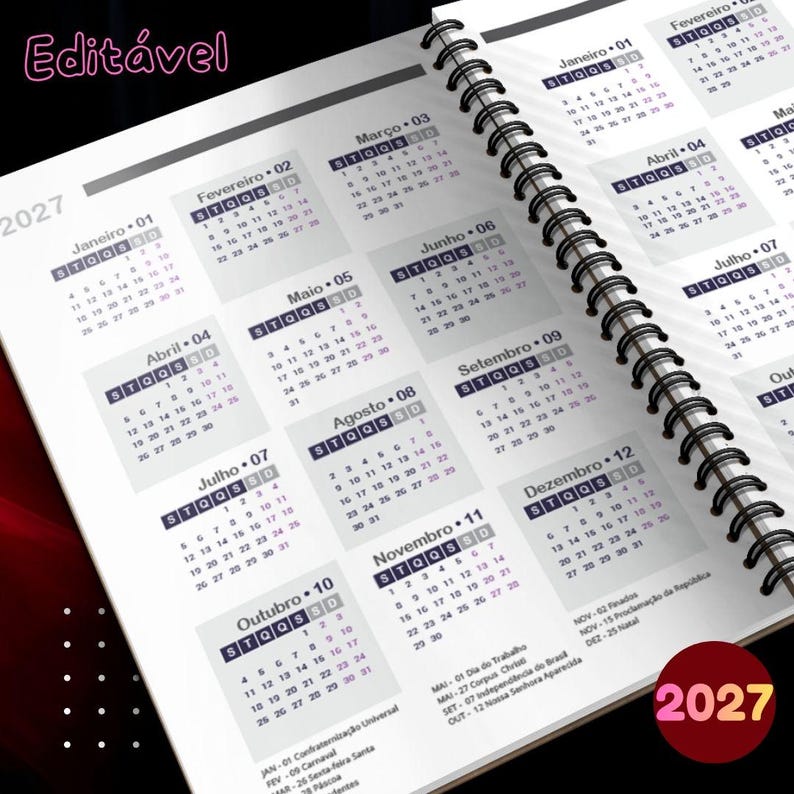 Editable 2027 Daily Planner in Coreldraw | A5 PDF Interior With 386 ...