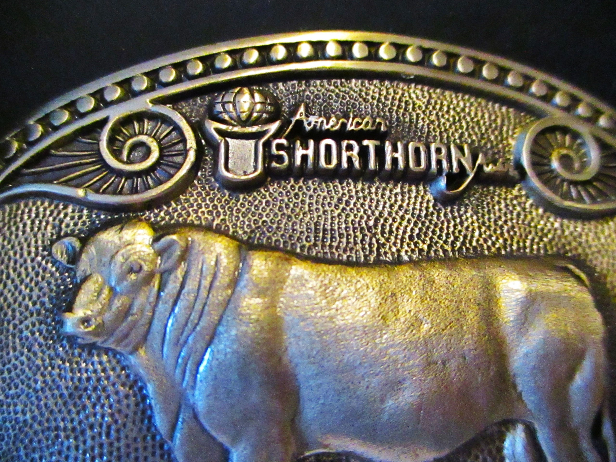 Tony Lama SHORTHORN Bull Cow Sire Solid Brass Belt Buckle Cattle Breed ...