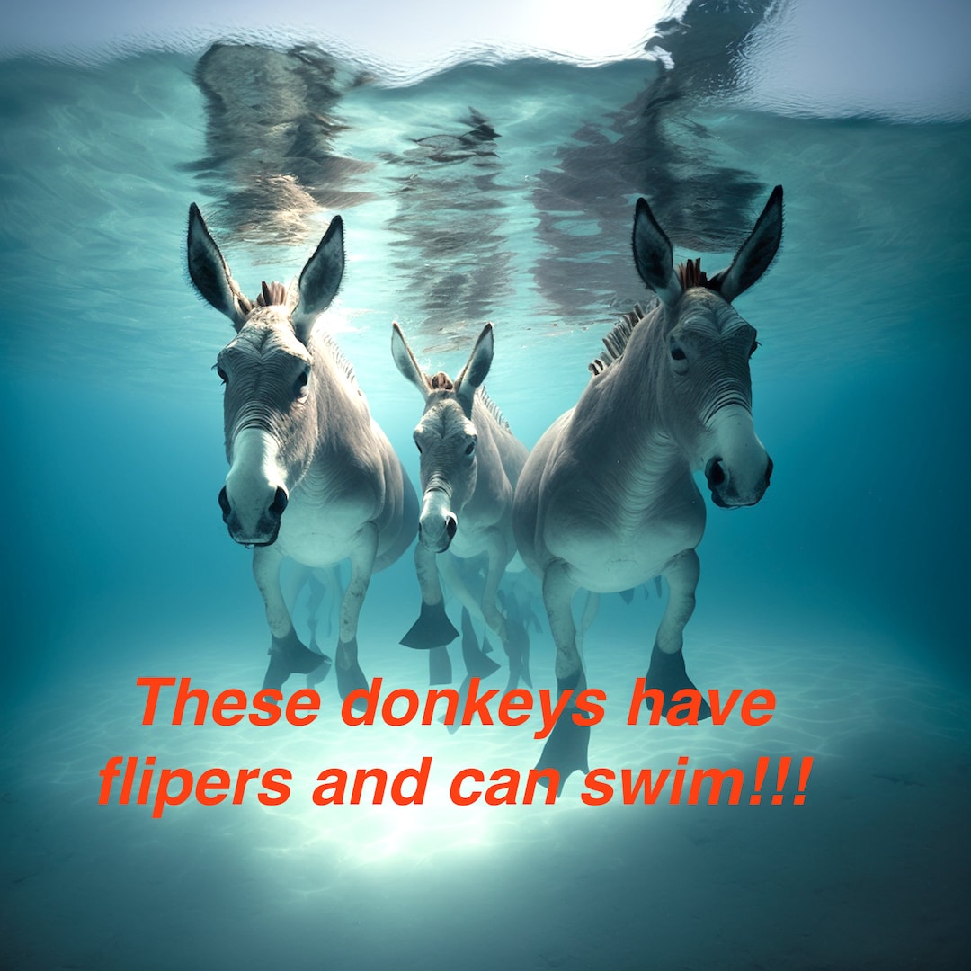 Donkeys Swimming Underwater - Etsy