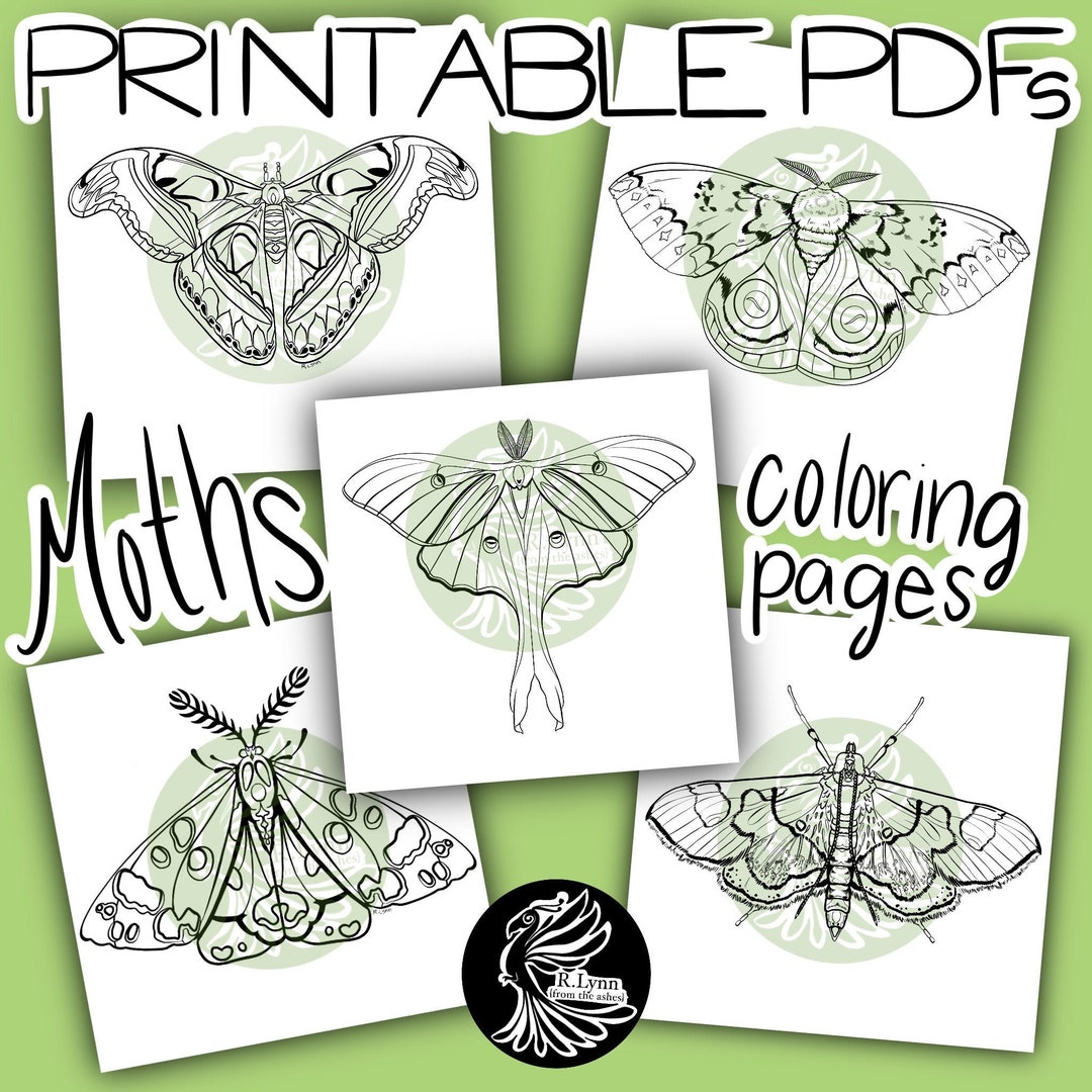 Moths -printable Coloring Pages, 5pk. - Etsy