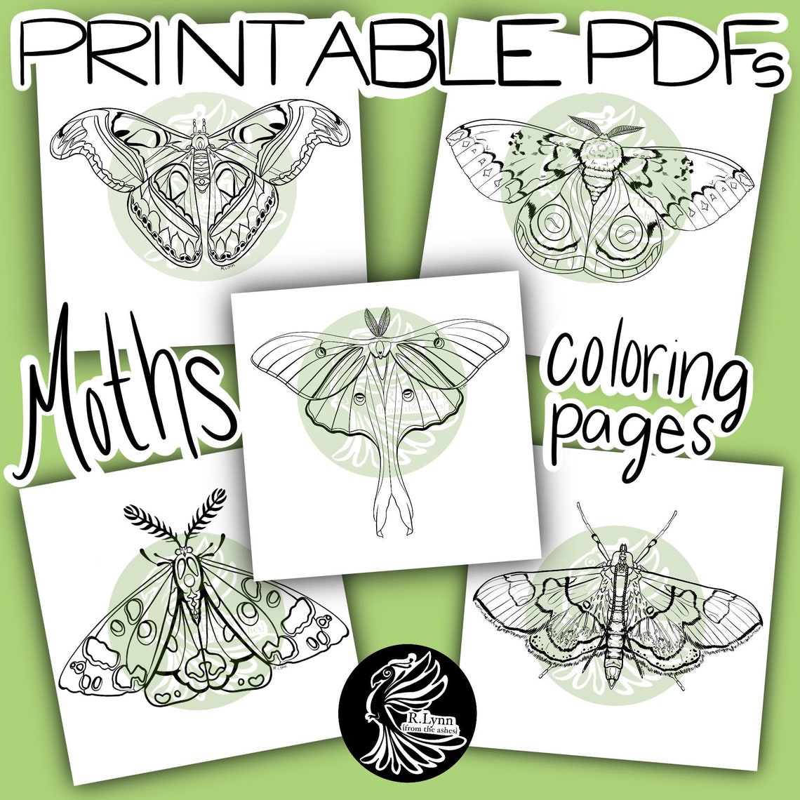 Moths -printable Coloring Pages, 5pk. - Etsy