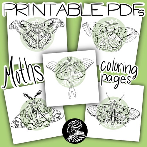 Moths printable Coloring Pages 5pk. - Etsy