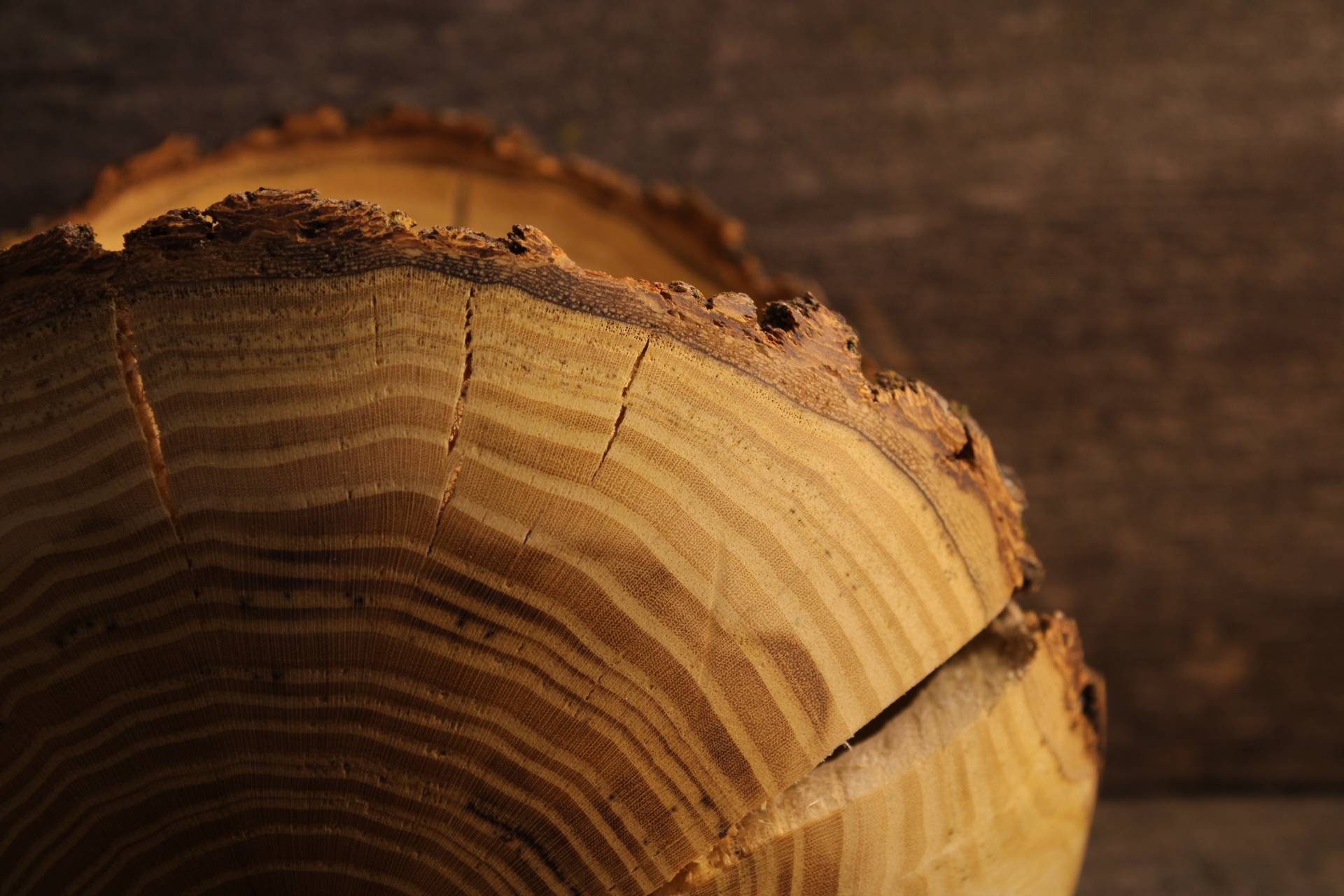 Hand Crafted Wooden Hollow Form - Etsy