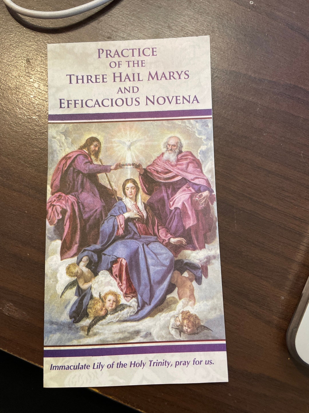 Practice of the Three Hail Marys and Efficacious Novena Pamphlet - Etsy