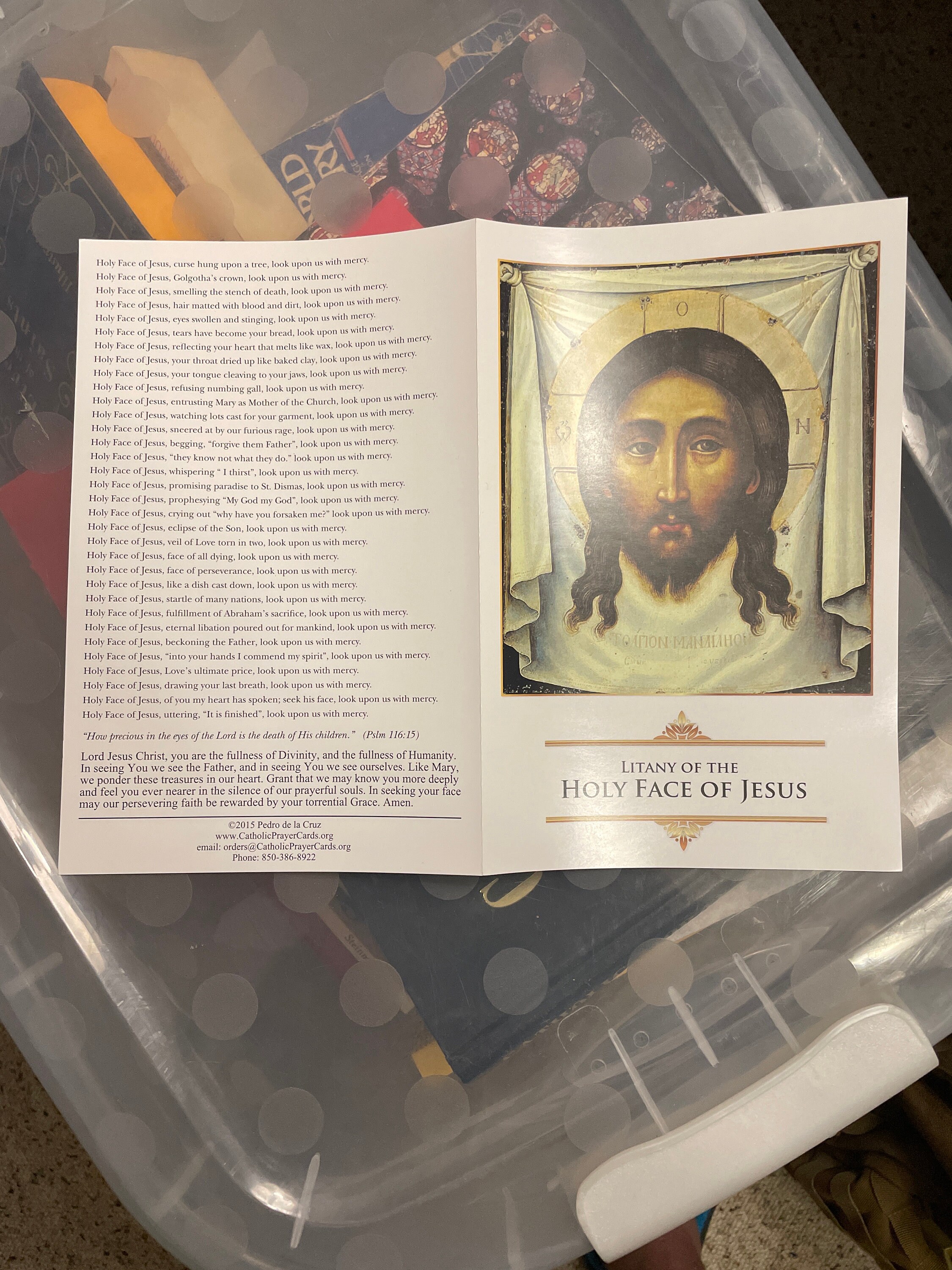 Litany of the Holy Face of Jesus Pamphlet (8.5 X 11 Inch) - Etsy
