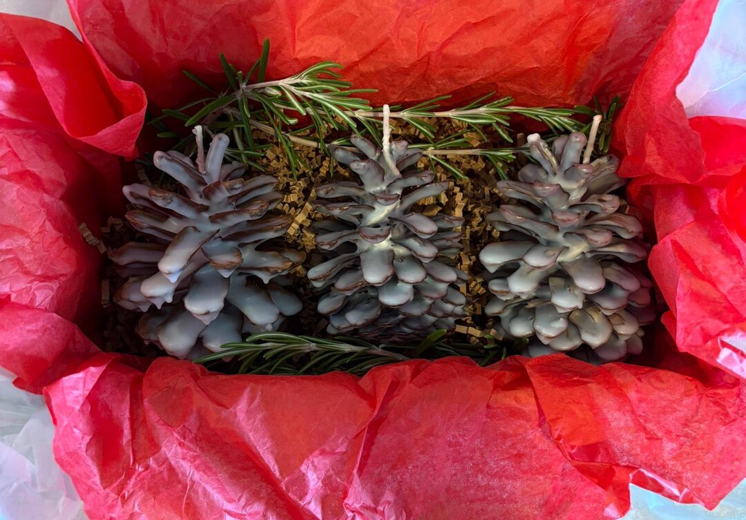 Pine Cone Fire Starter Etsy