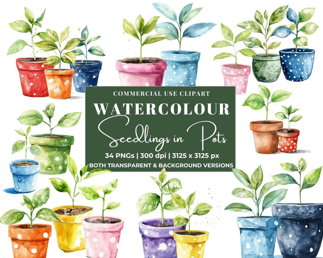 Watercolour Potted Plant Clipart Bundle, Bright Coloured Pots Ideal for ...