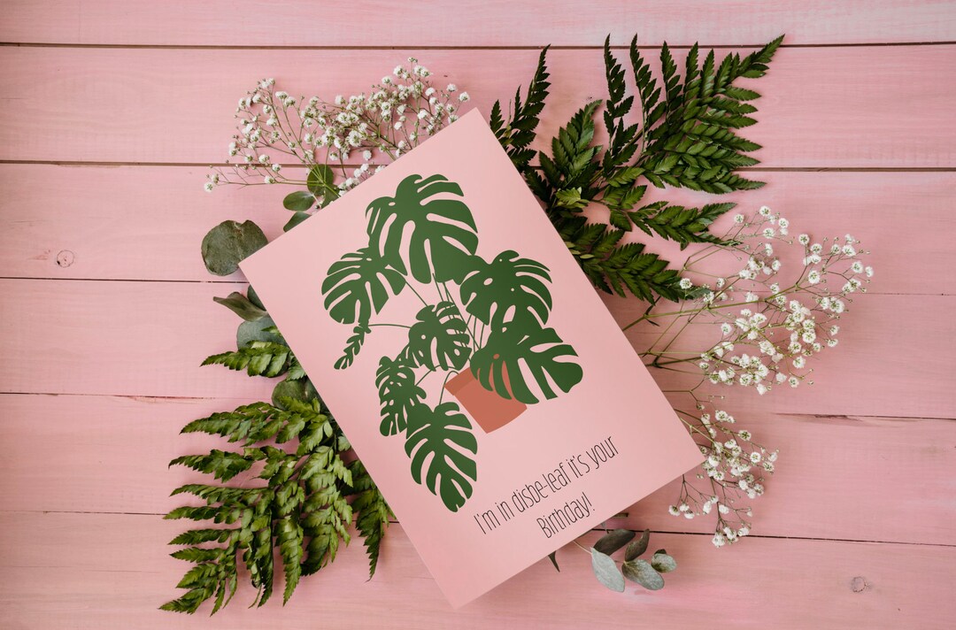 Funny Monstera Birthday Card: Cheese Plant Pun, Plant Lover Gift - Etsy ...