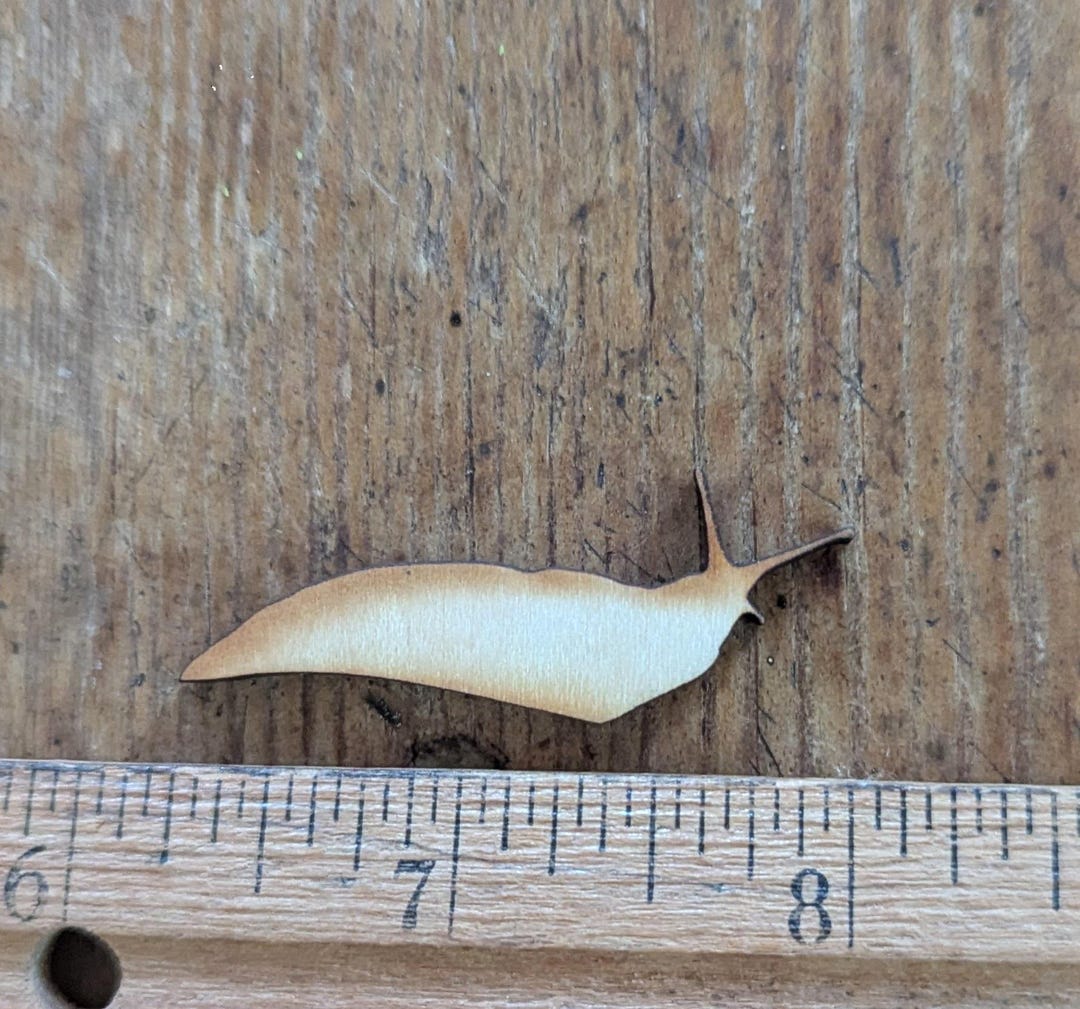 12 Pieces Slug Banana Slug Maple Wood Cut Outs for Crafts Lot - Etsy
