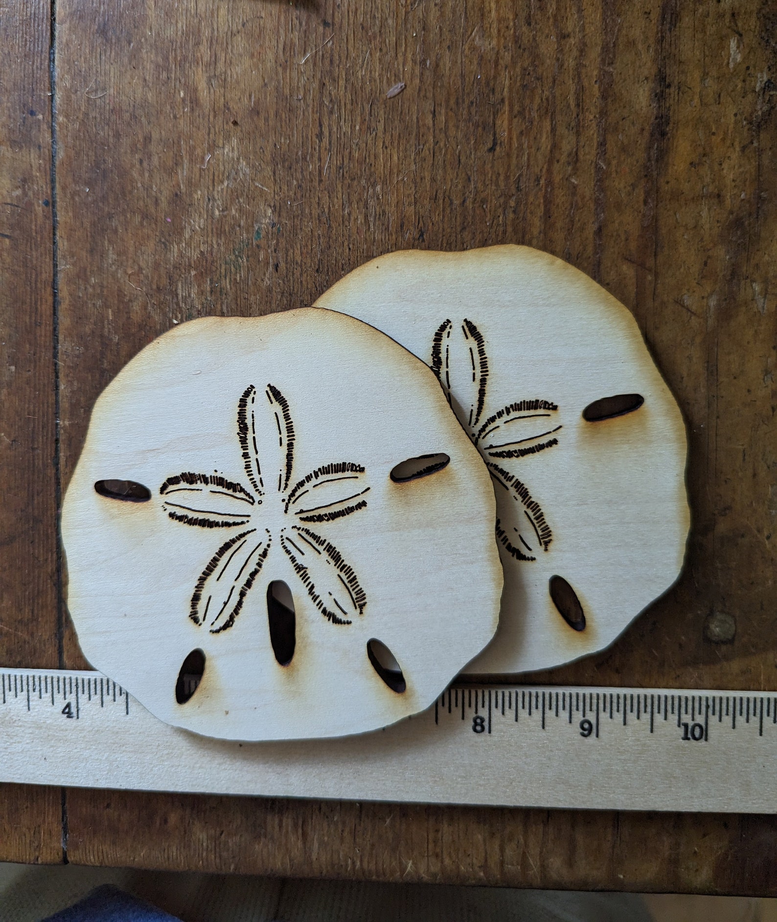 6 Sand Dollar Laser Cut Wooden Shape Crafting Blanks 4 - Etsy