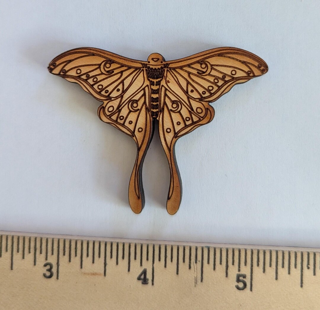 5 Moth Maple Wood Cut Outs for Crafts 1/4" Thick - Etsy