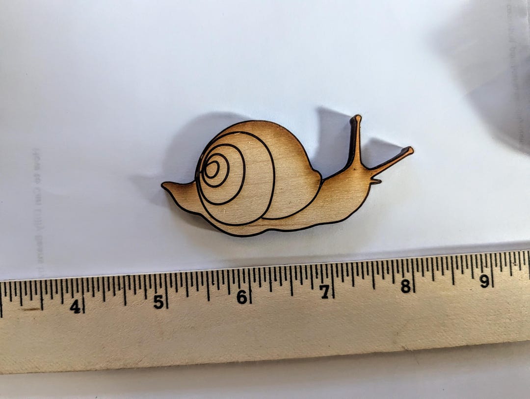 12 Pieces Snail Maple Wood Cut Outs for Crafts Lot - Large - Etsy