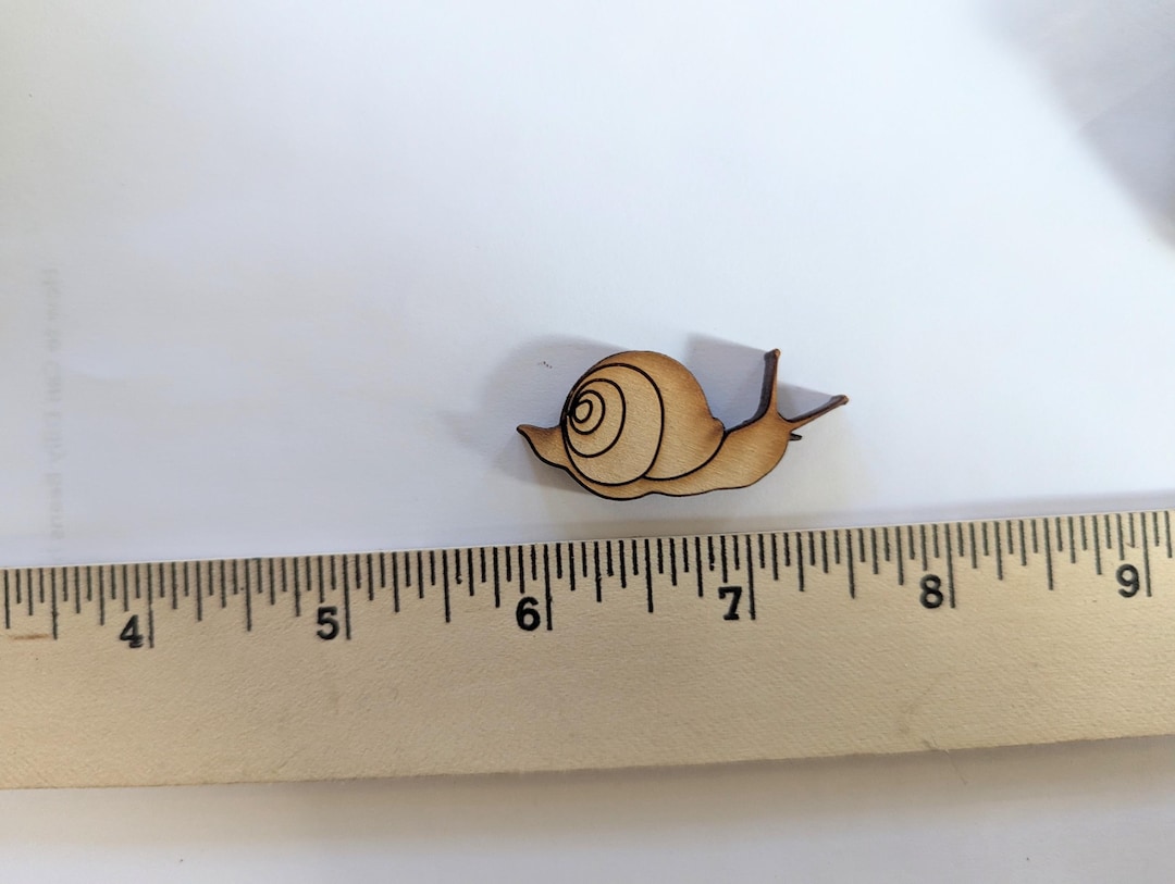 12 Pieces Snail Maple Wood Cut Outs for Crafts Lot - Etsy