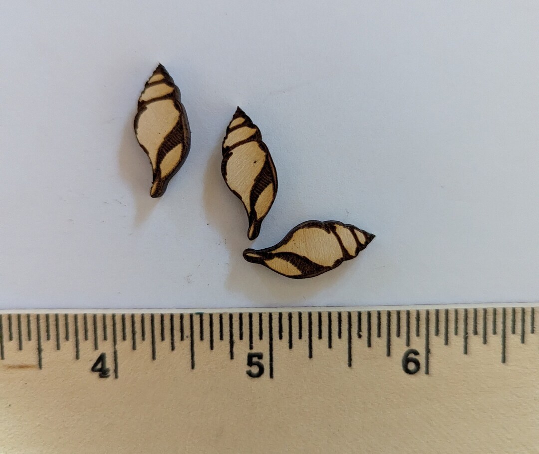 24 Teeny Tiny Wooden Conch Shells Shapes - Etsy