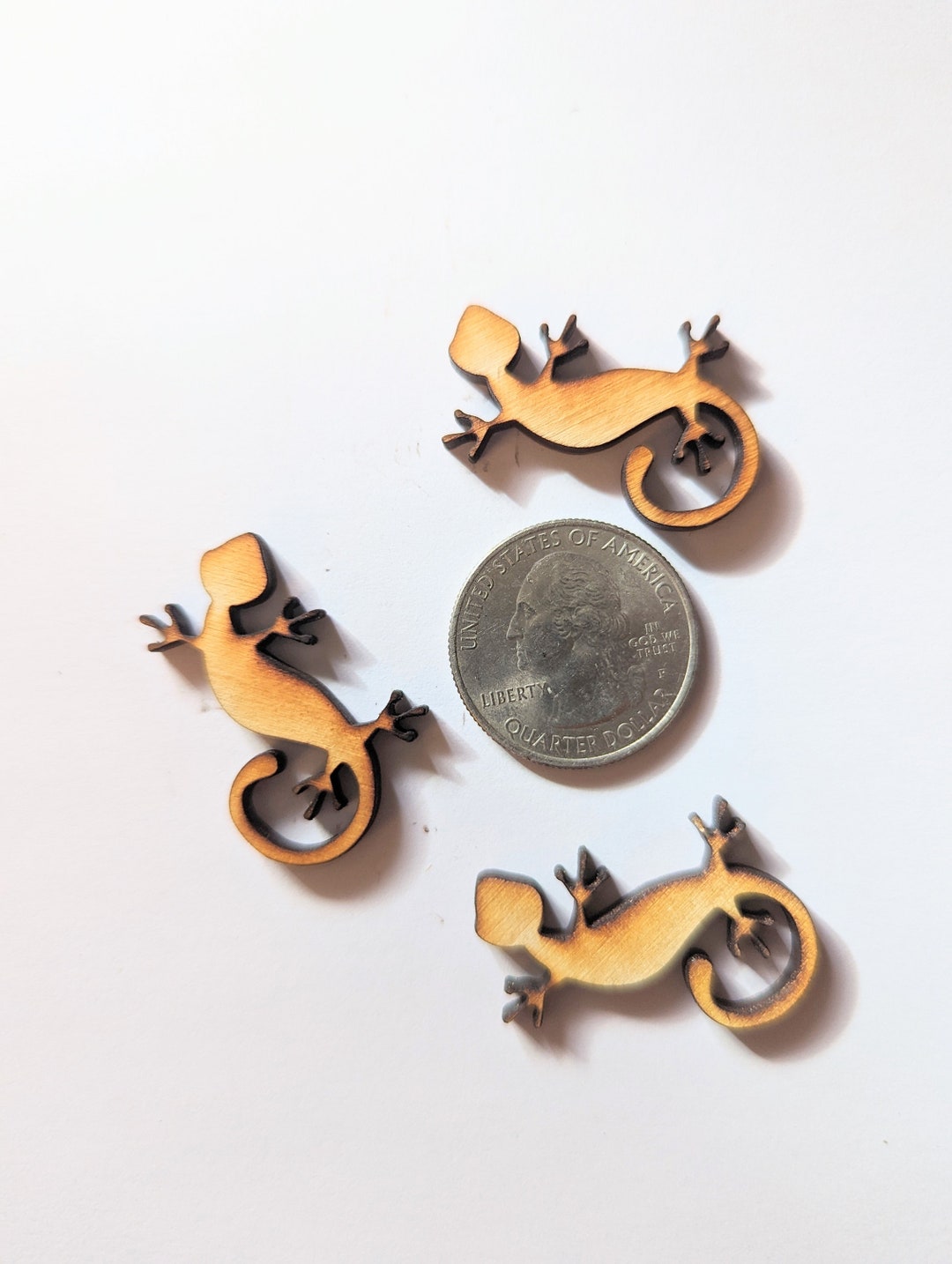 12 Lizard Laser Cut Wooden Shape Crafting Blanks - Etsy