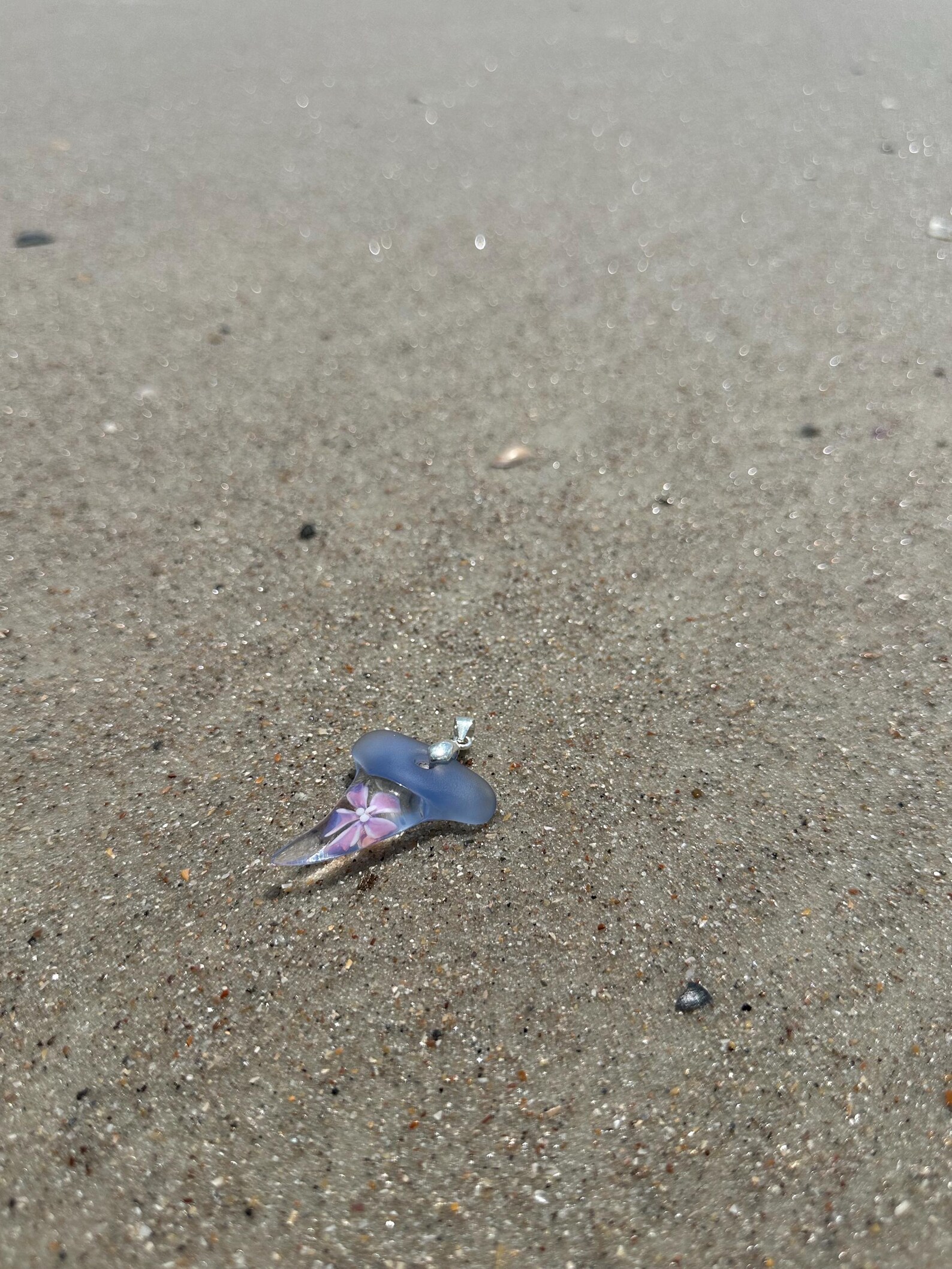 Shark Tooth Collab - Medium - Sharks - Teeth - Fossil - Ocean - Beach ...
