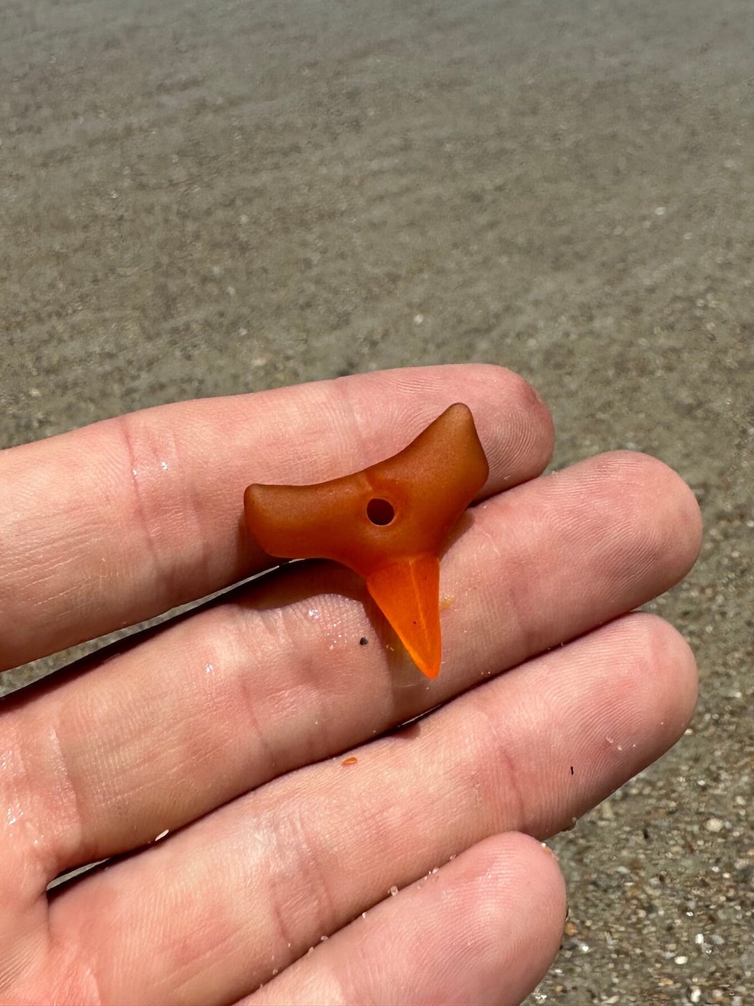 Mini Freestyle Shark Tooth Series Sharks Teeth Fossil - Etsy