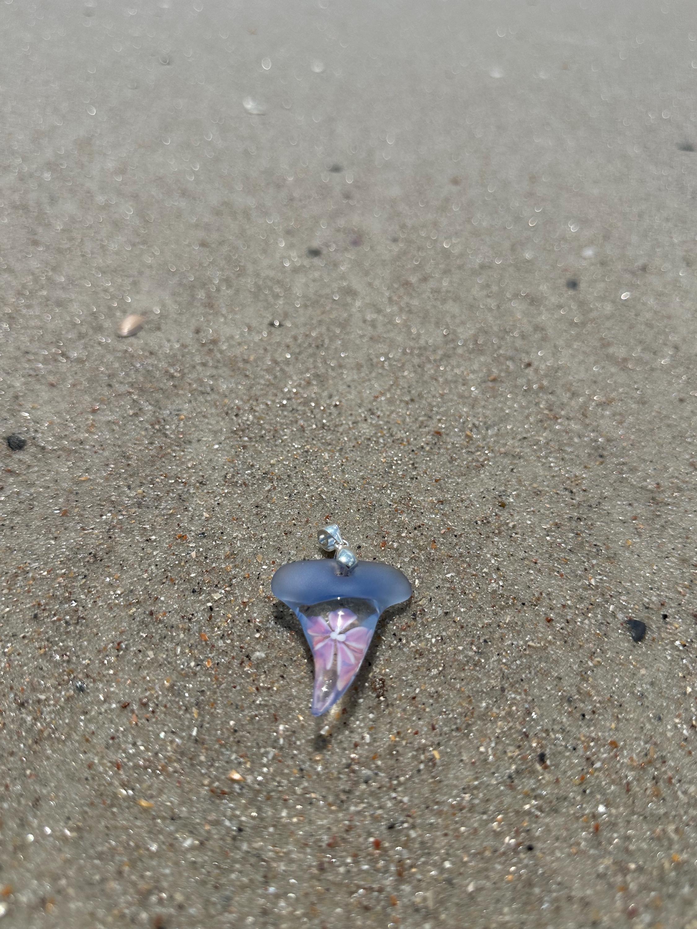 Shark Tooth Collab - Medium - Sharks - Teeth - Fossil - Ocean - Beach ...