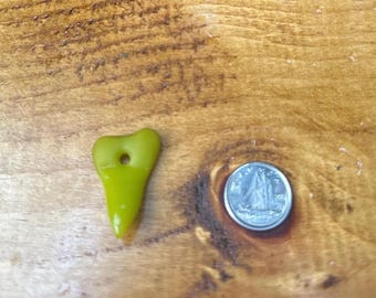 Mini Freestyle Shark Tooth Series Sharks Teeth Fossil Ocean Beach ...