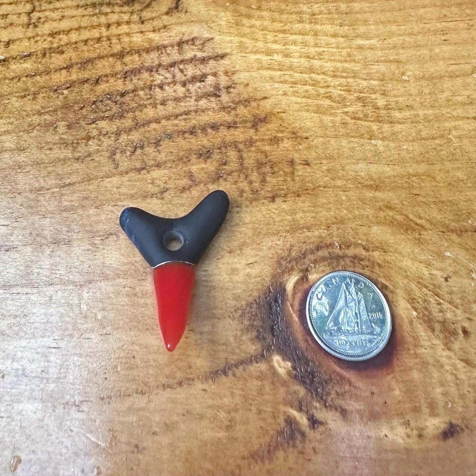Small - Freestyle Shark Tooth Series - Sharks - Teeth - Fossil - Ocean ...
