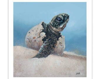 Sea Turtle Art Print 8x10 Beach Wall Decor - Etsy