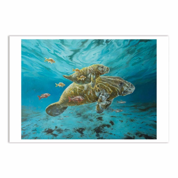 Manatee Print Manatees Manatee Art - Etsy