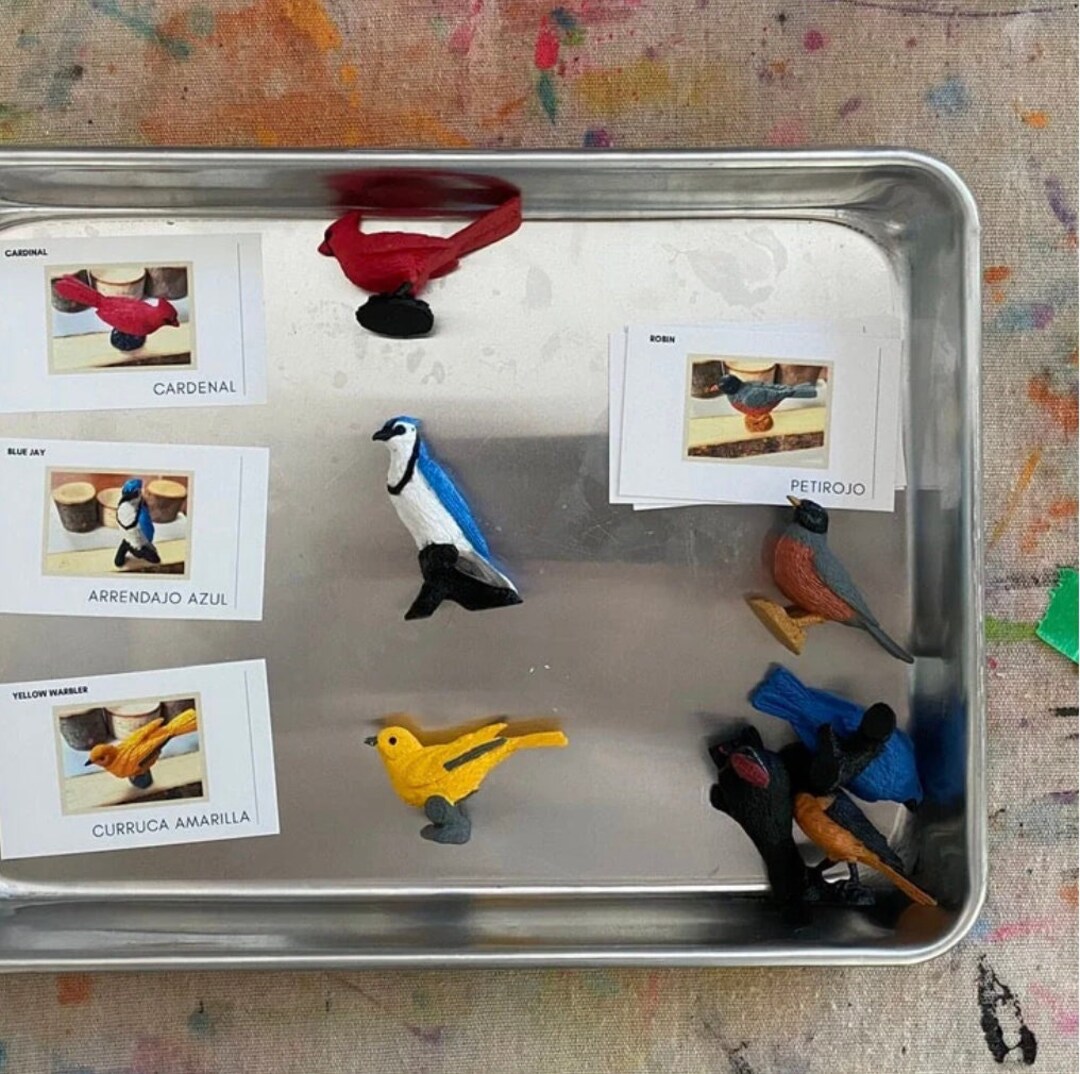 Bilingual (spanish-english) Backyard Birds Cards - Etsy