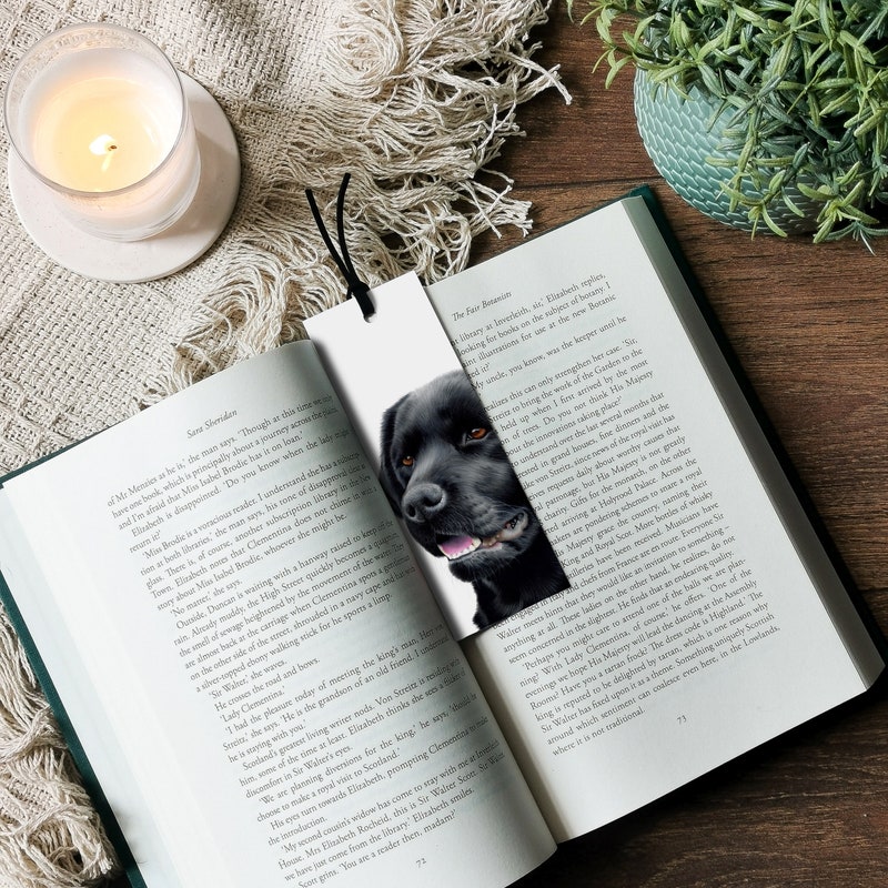 Black Labrador - Etsy