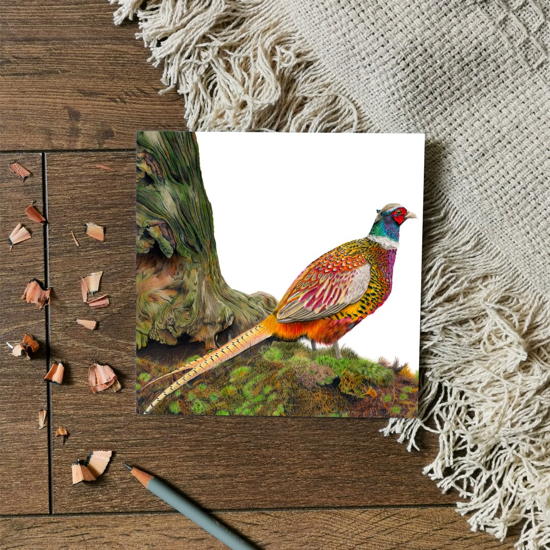 Pheasant Greetings Card | Wildlife Greetings Card | Bird Card ...