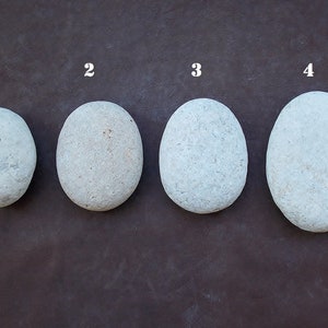 Smooth Big Oval Shaped White Mediterranean Beach Rocks for Mandala ...