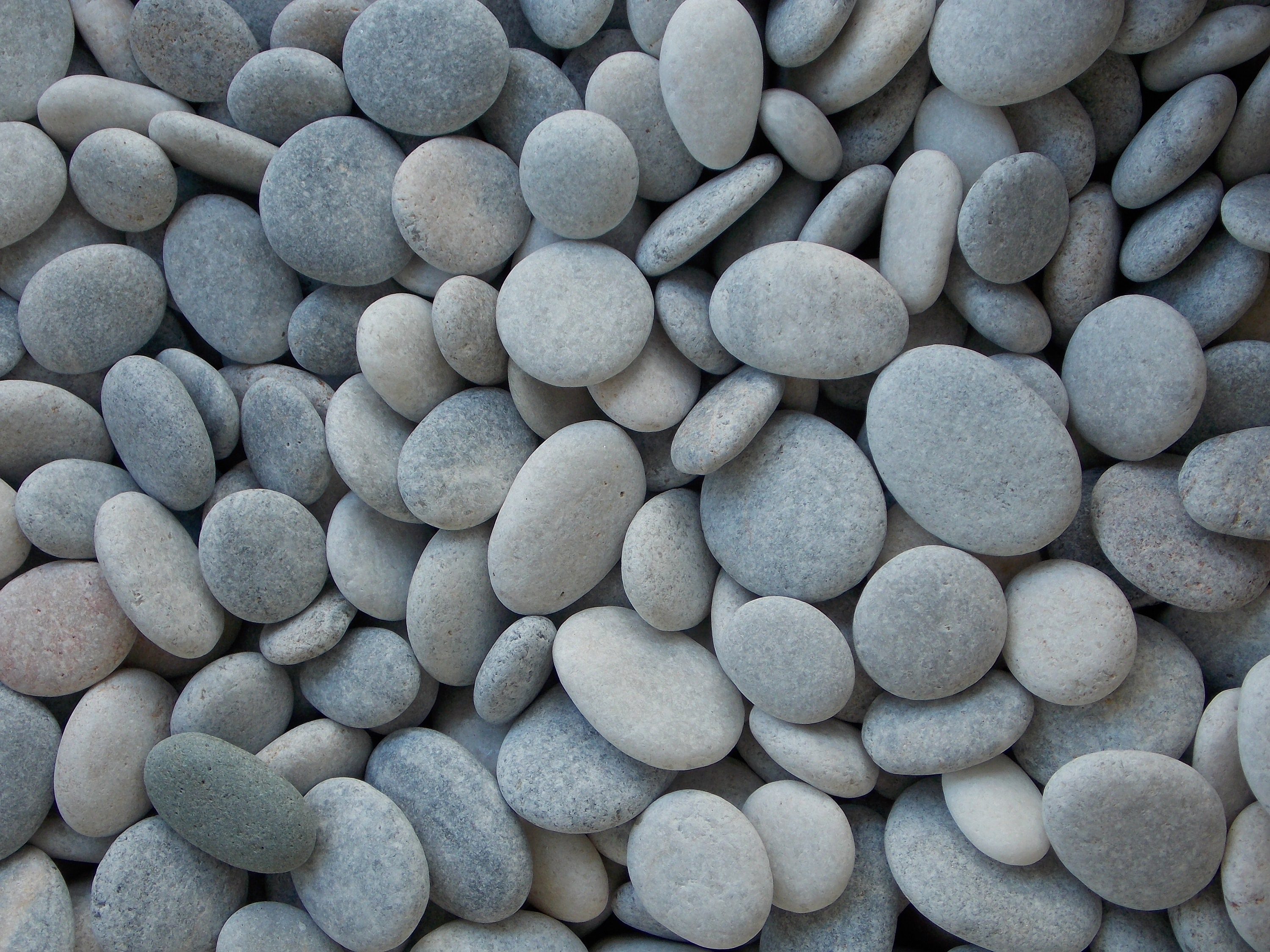 Bulk 200 Smooth Flat Beach Rocks for Pebble Art & Crafts - Etsy