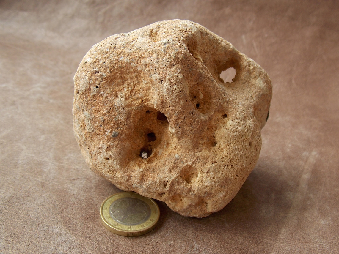 Natural Limestone With Holes Decorative Sea Rock Stone Big | Etsy